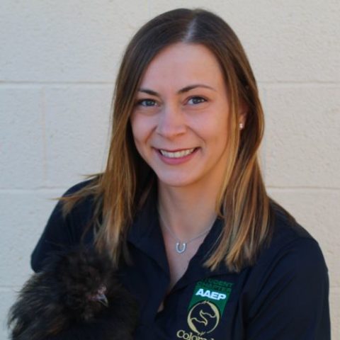 Northern Wisconsin Veterinarians - Northwoods Animal Hospital